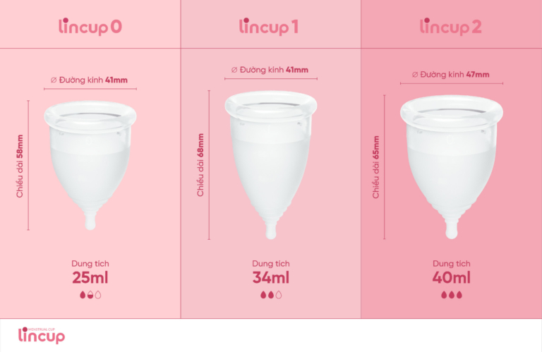 Cốc nguyệt san Lincup có mấy size? Cách chọn size chi tiết - Lincup.vn ...